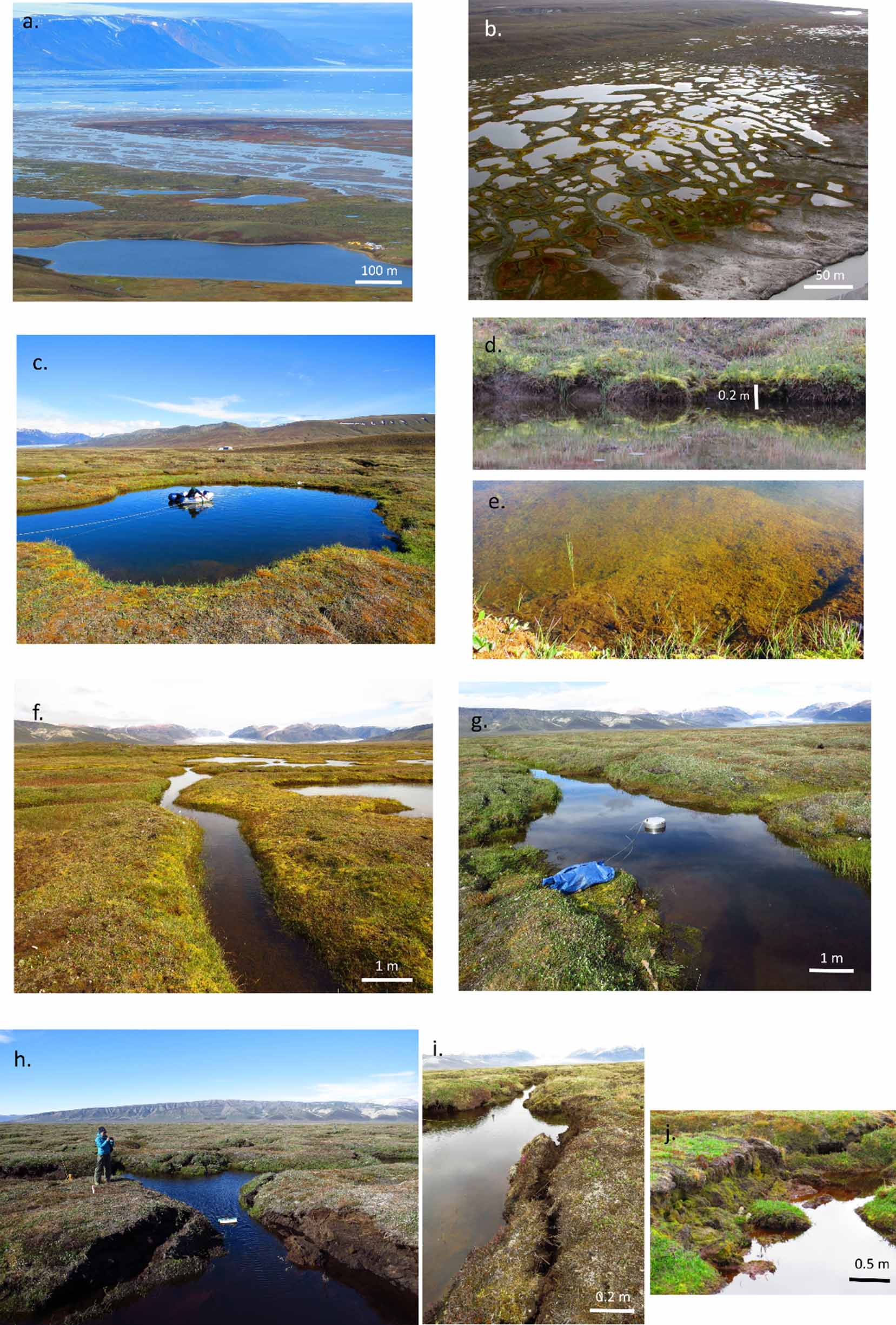 Permafrost degradation and soil erosion as drivers of greenhouse gas ...
