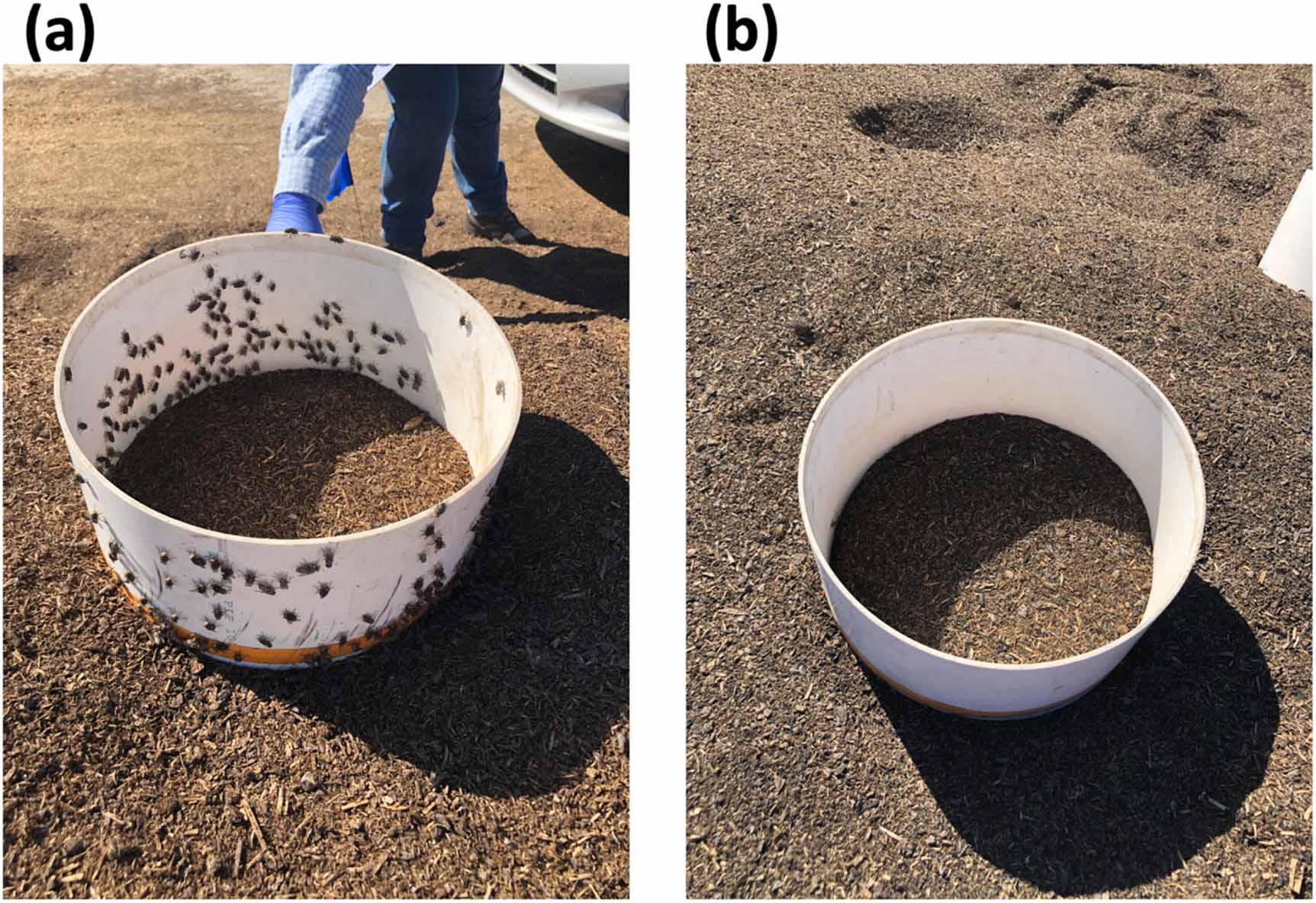 Biochar-composting substantially reduces methane and air pollutant ...