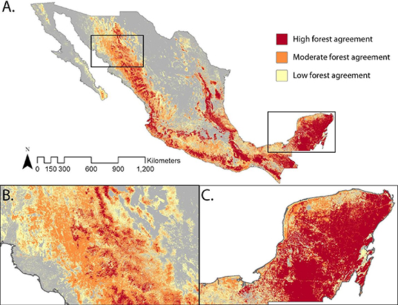 Estimating forest extent across Mexico - IOPscience