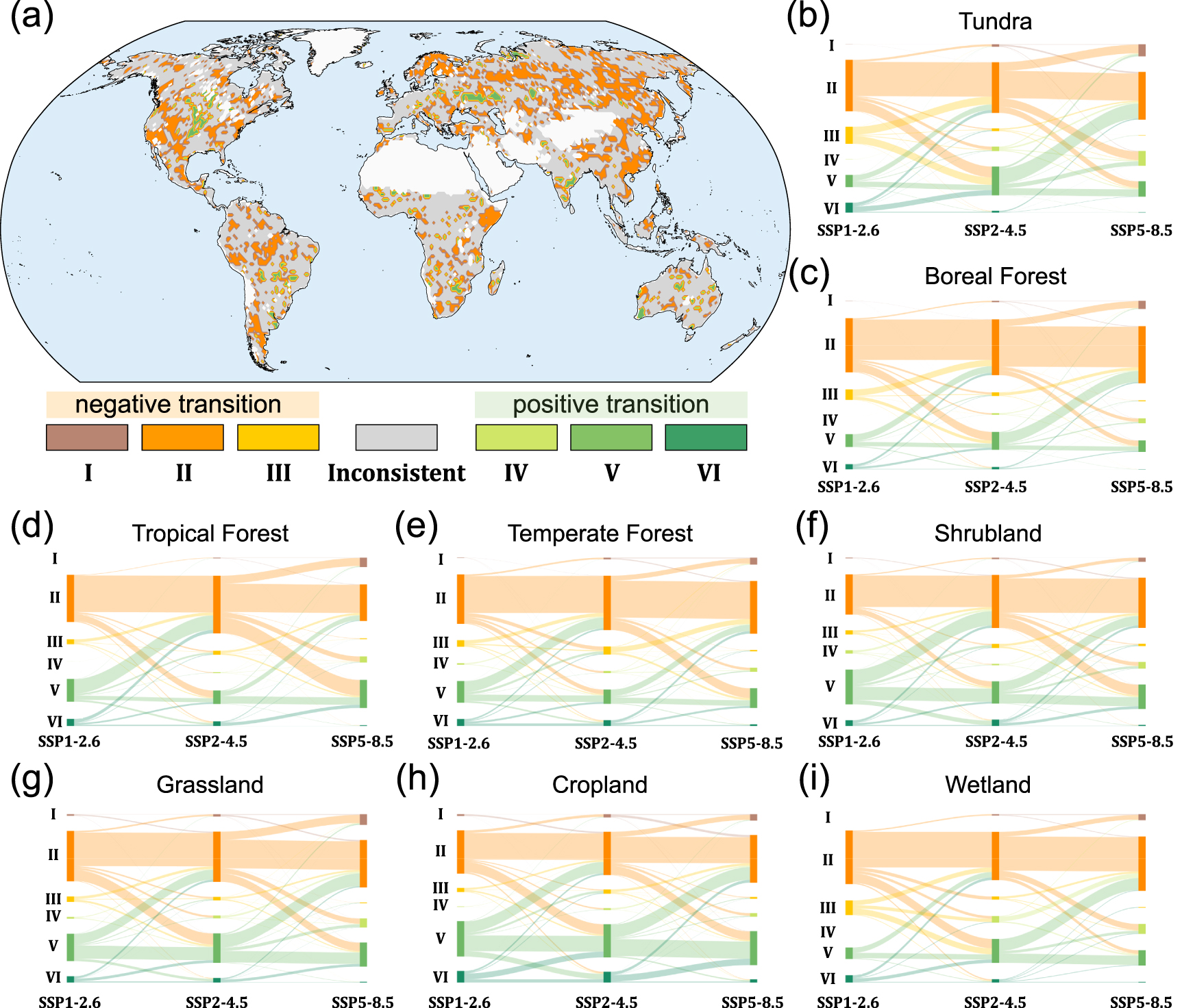 Divergent future trends in global land greening and carbon ...