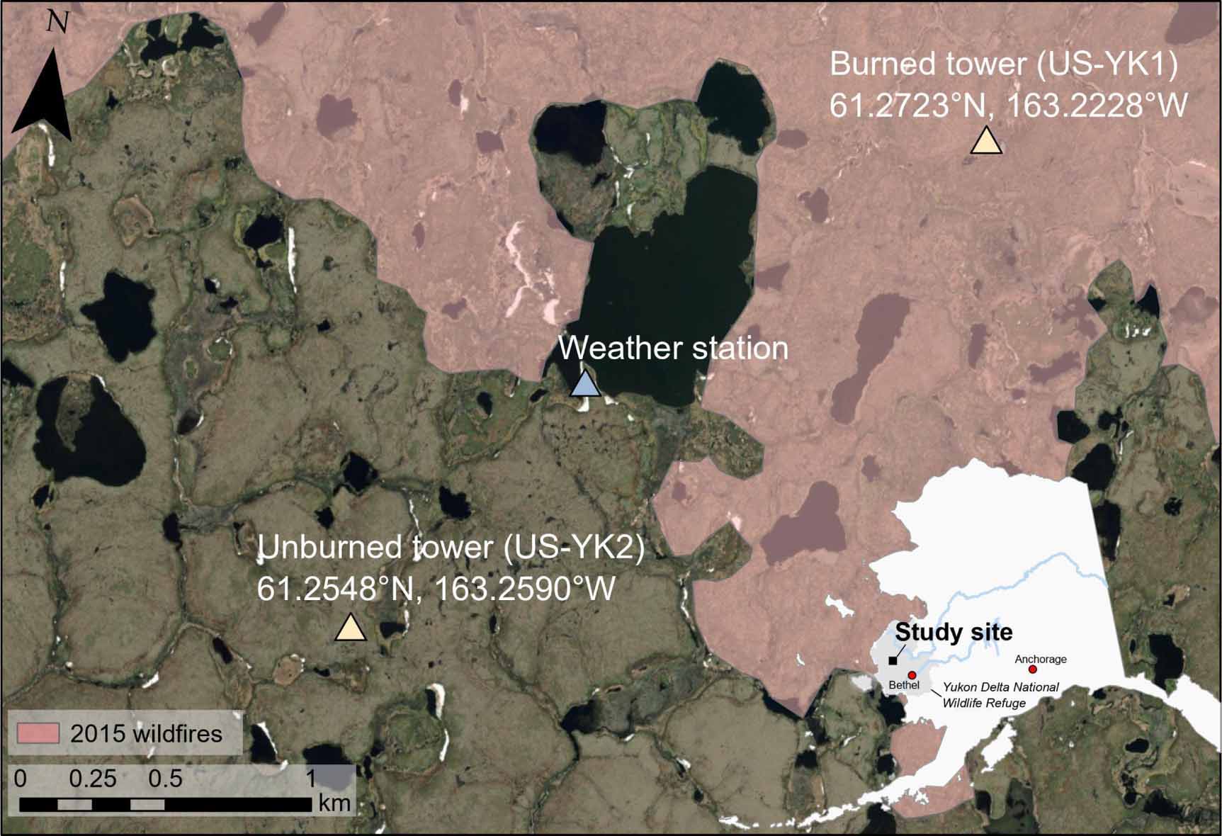 Slow post-fire carbon balance recovery despite increased net uptake ...