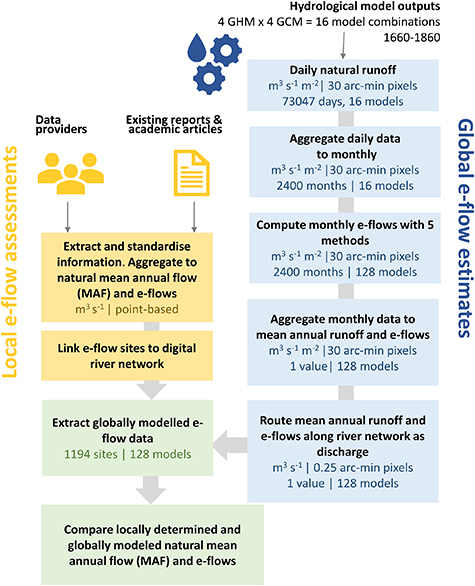 Limited comparability of global and local estimates of environmental ...
