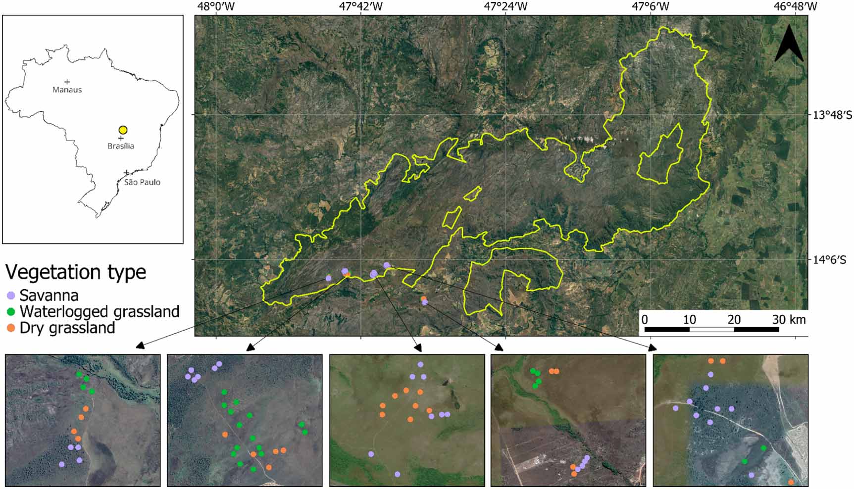 Estimating vegetation water content from Sentinel-1 C-band SAR data ...