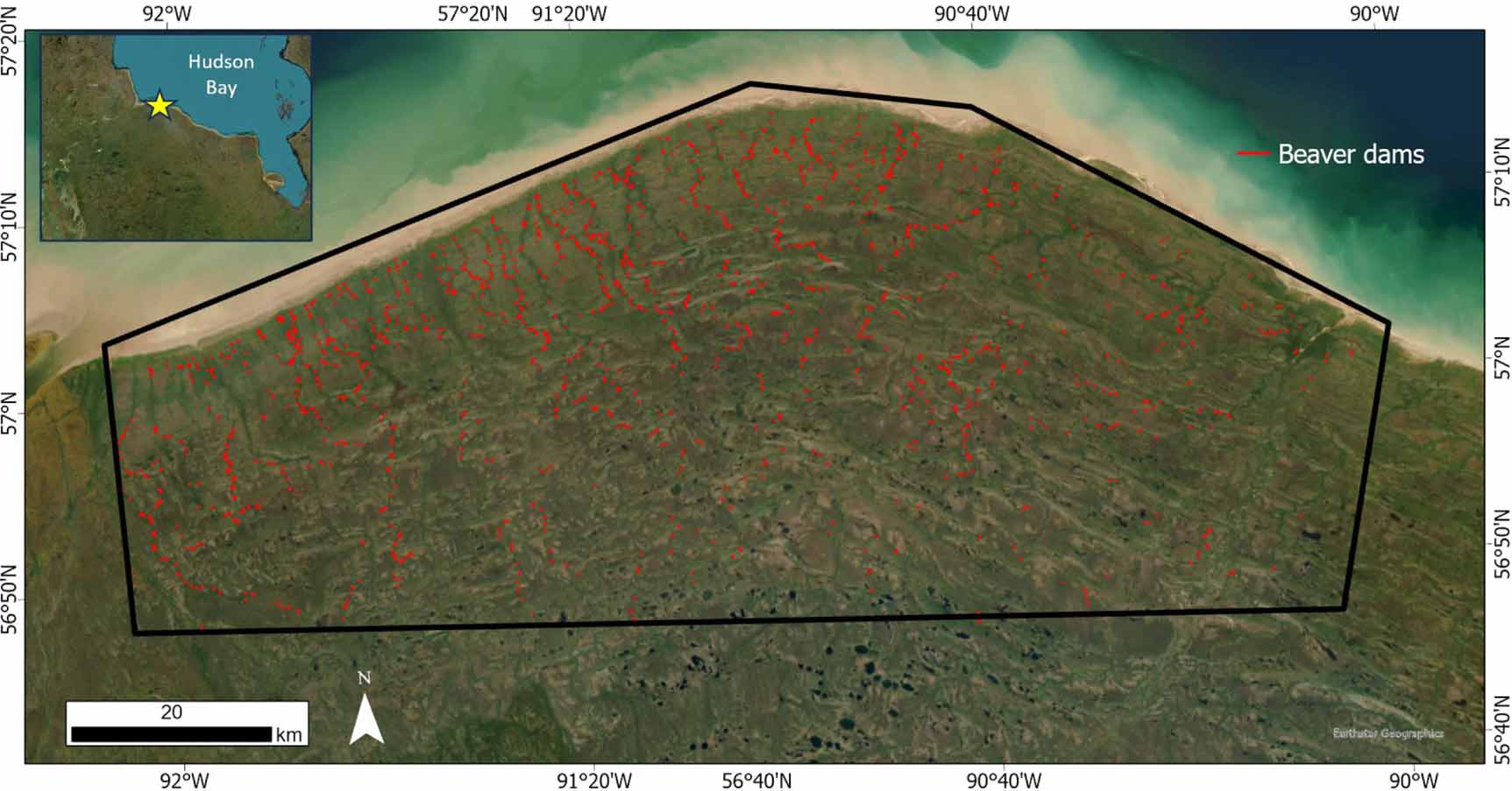 Large multi-decade beaver ponding changes in the subarctic Hudson Bay ...