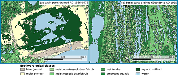 Post-drainage vegetation, microtopography and organic matter in Arctic ...
