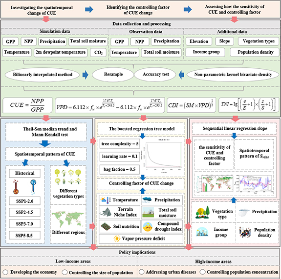 Changes in global carbon use efficiency in the 21st century and the ...