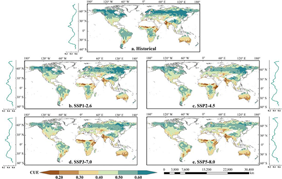 Changes in global carbon use efficiency in the 21st century and the ...