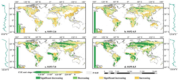 Changes in global carbon use efficiency in the 21st century and the ...