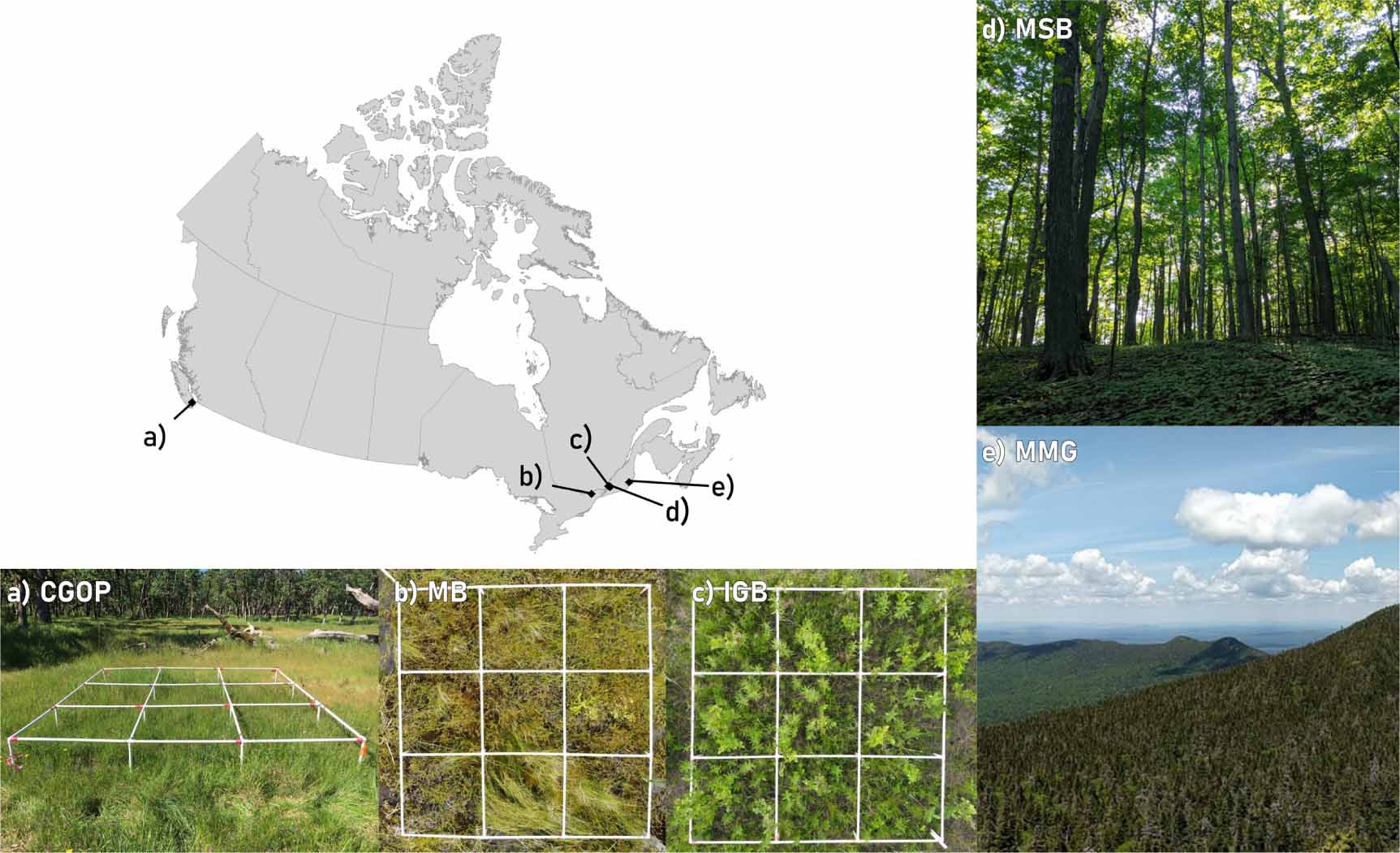 Exploring the spectral variation hypothesis for α- and β-diversity: a ...