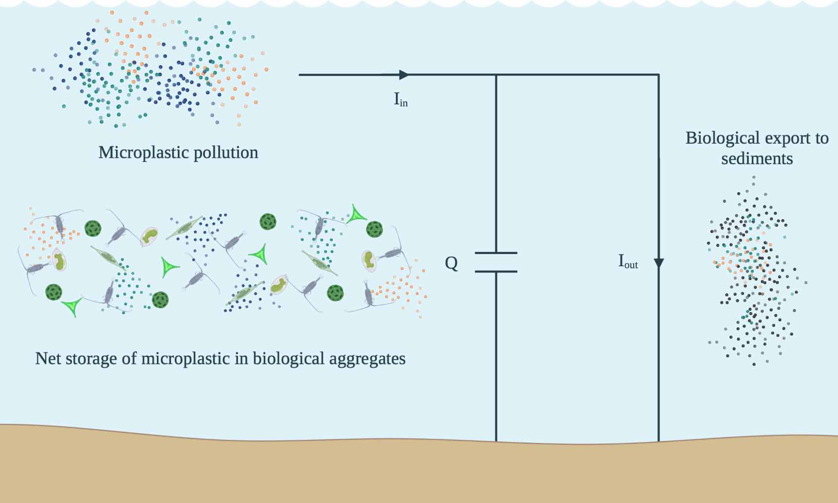 Slow biological microplastics removal under ocean pollution phase-out ...