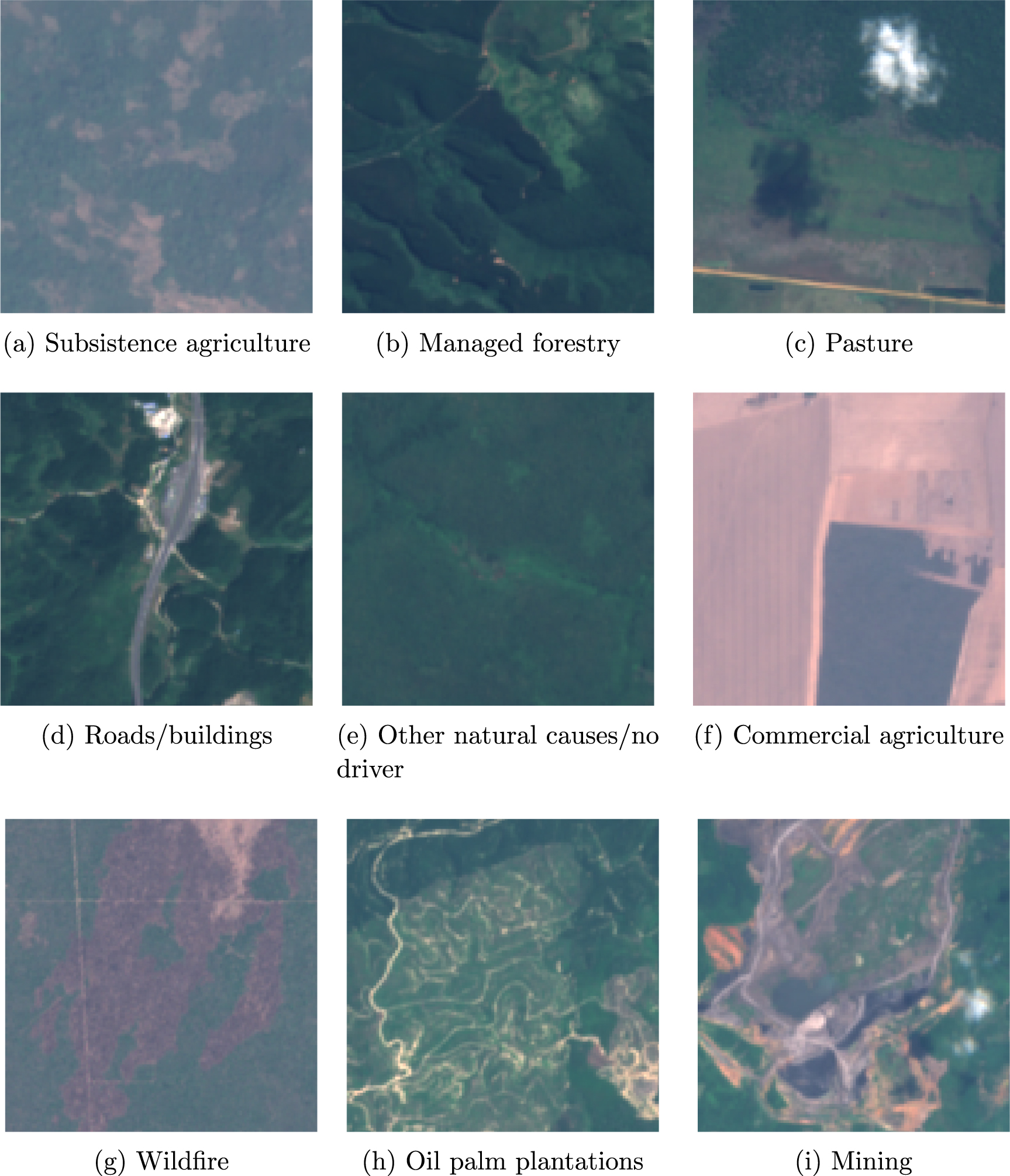 Mapping drivers of tropical forest loss with satellite image time ...