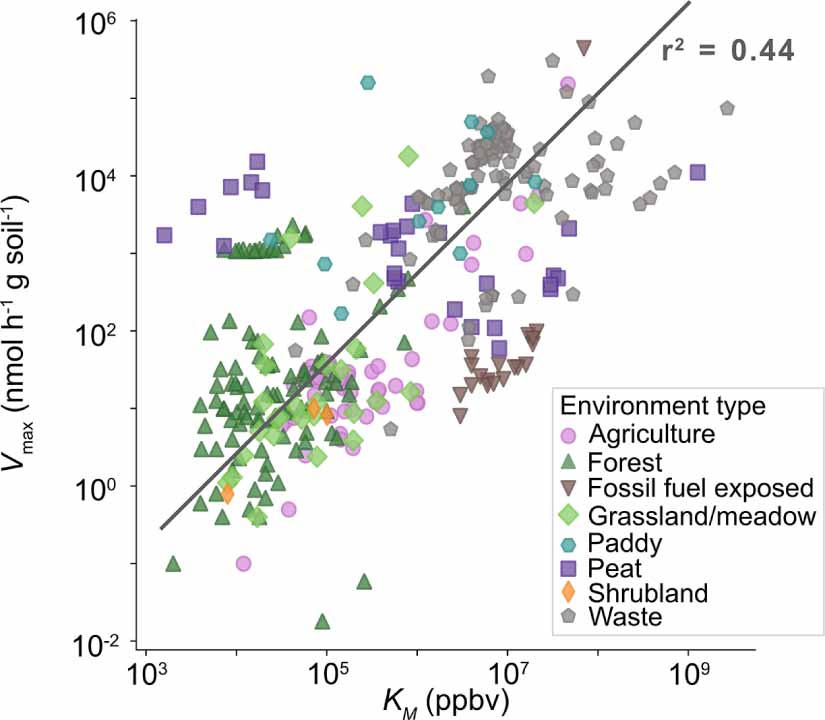 Evaluating the contribution of methanotrophy kinetics to uncertainty in ...