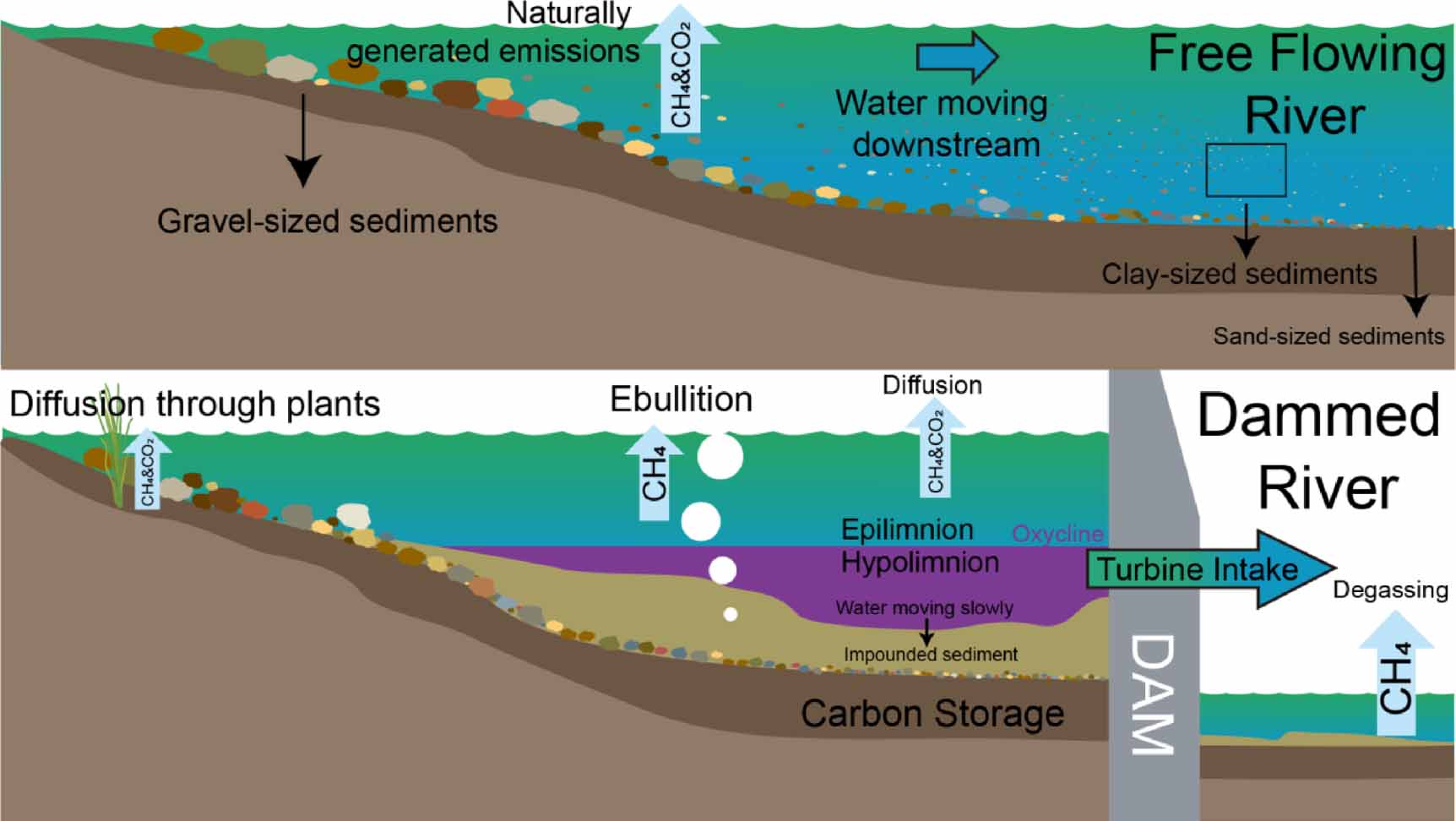Greenhouse gas emissions from hydropower reservoirs: emission processes ...