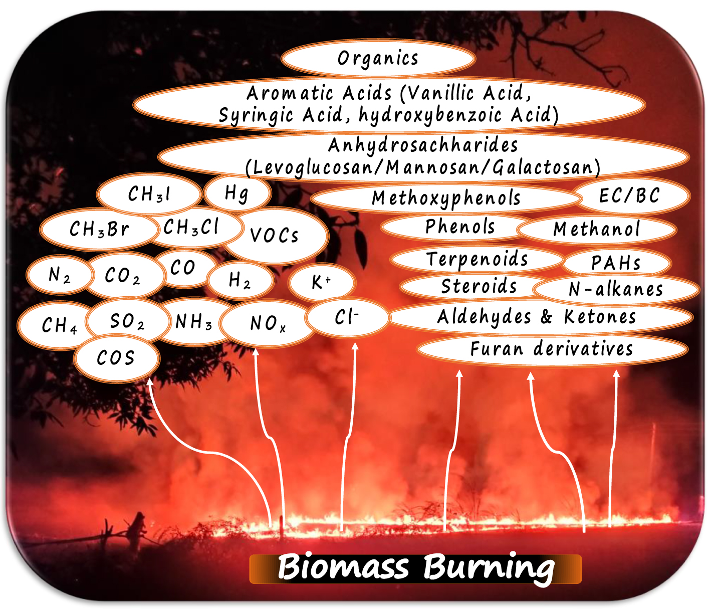 Air pollution from biomass burning in India - IOPscience