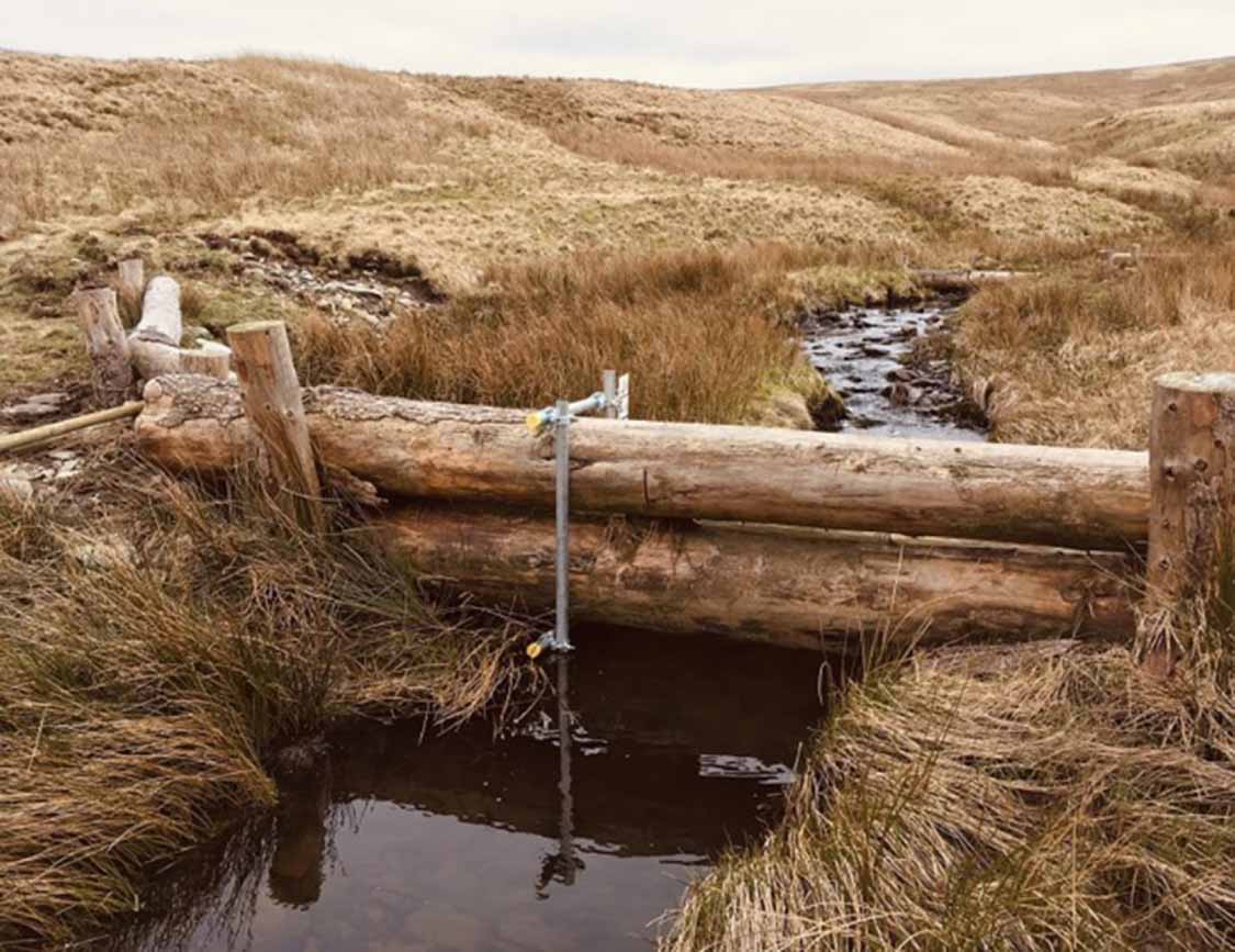 Nature-based solutions for effective flood mitigation: potential design ...