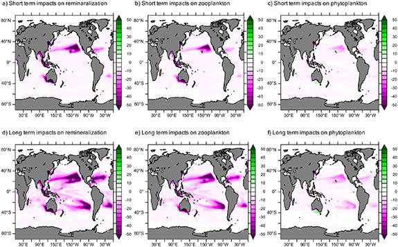 Model exploration of microplastic effects on zooplankton grazing reveal ...