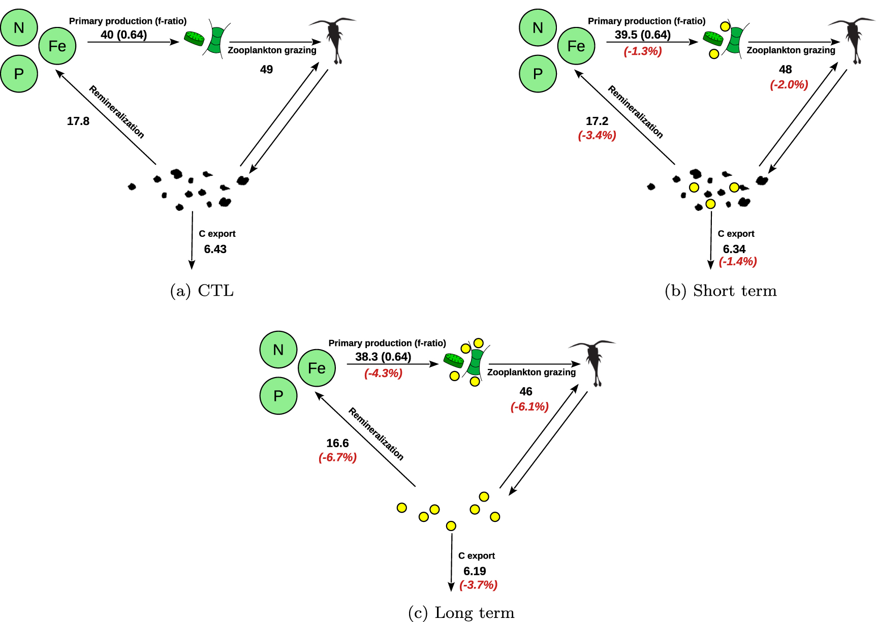 Model exploration of microplastic effects on zooplankton grazing reveal ...