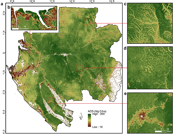 Unveiling spatial variations of high forest live biomass carbon stocks ...