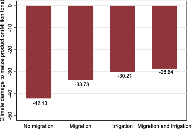 Maize migration mitigates the negative impact of climate change on ...