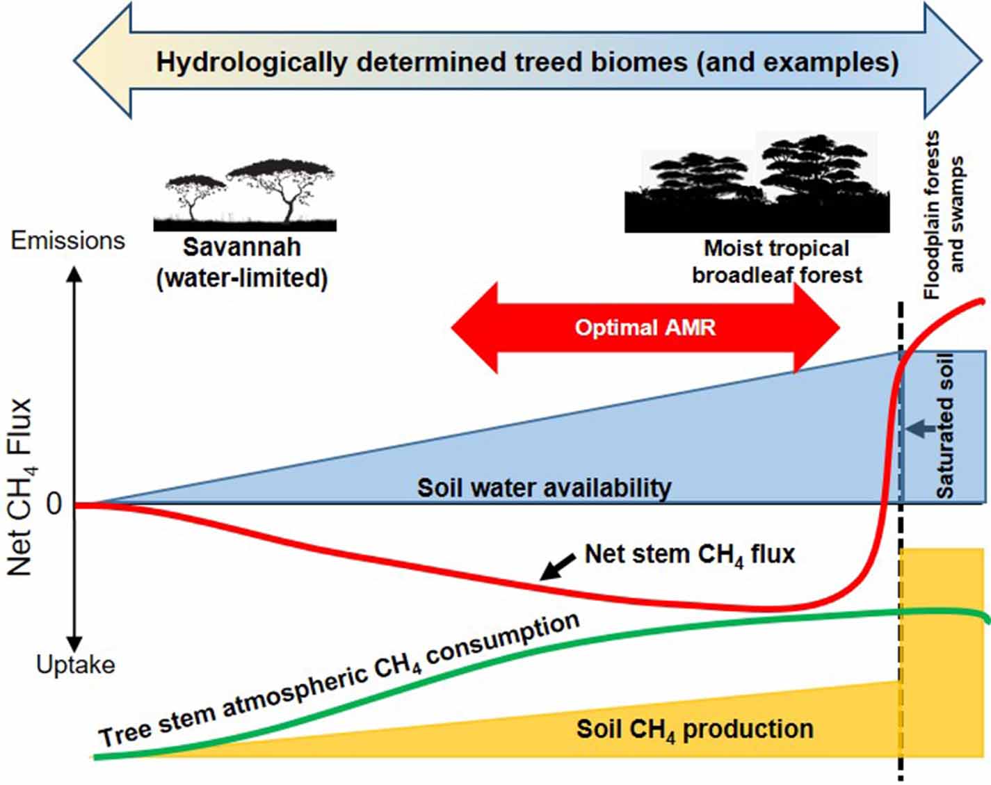 Forests and methane: looking beyond carbon for nature-based climate ...