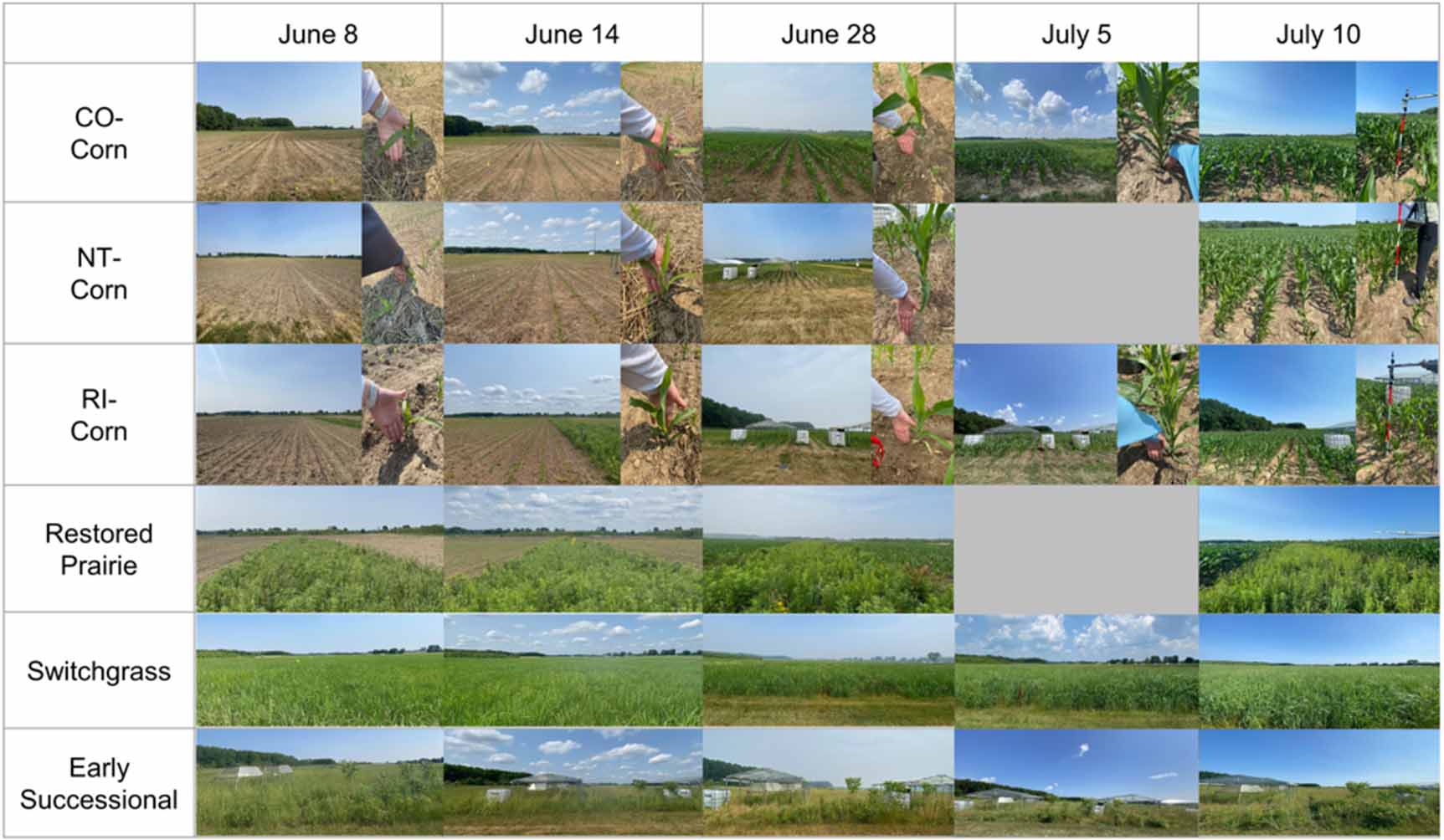 Albedo of crops as a nature-based climate solution to global warming ...