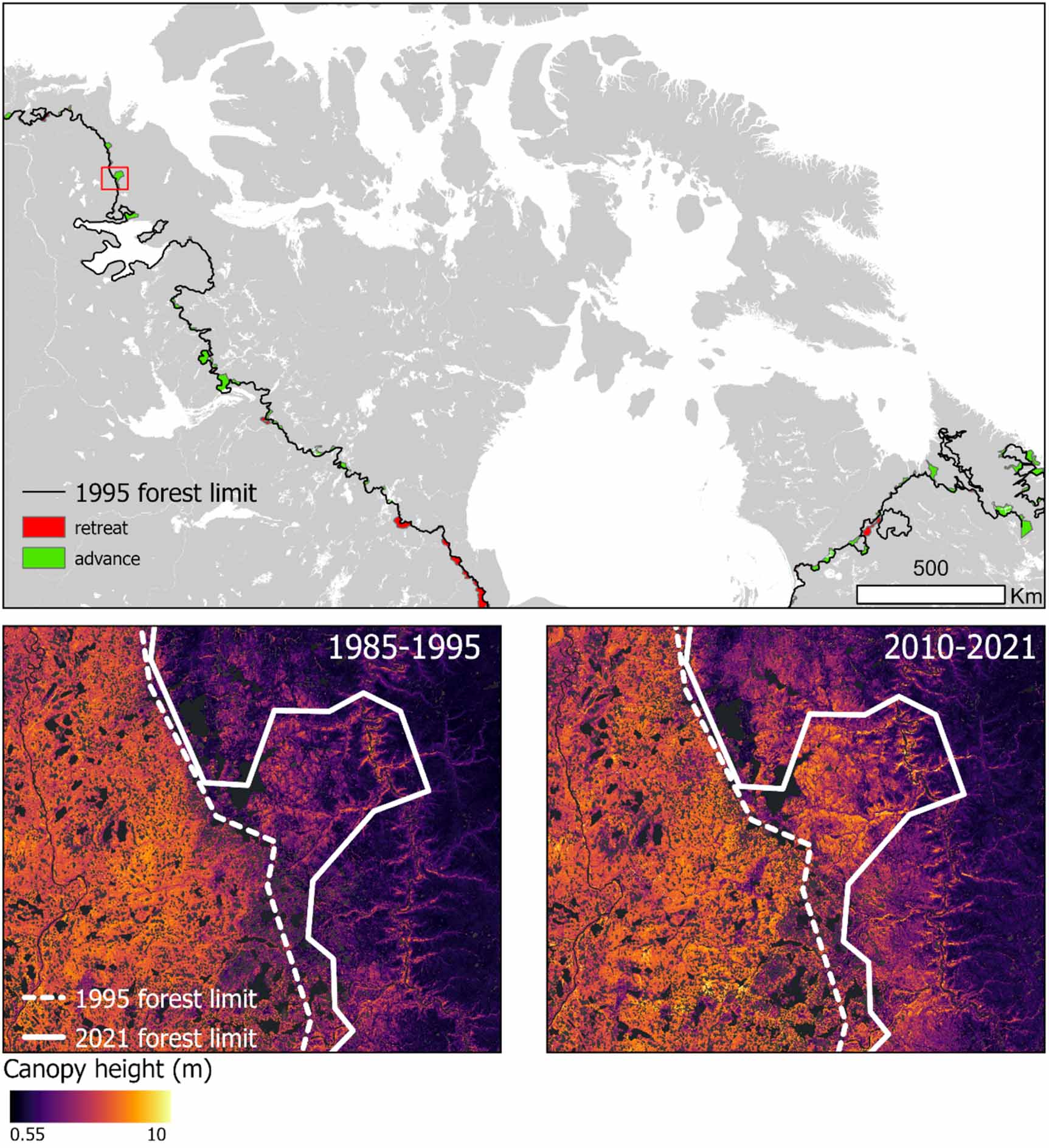 Satellite observations reveal stable forest limits and shrub expansion ...