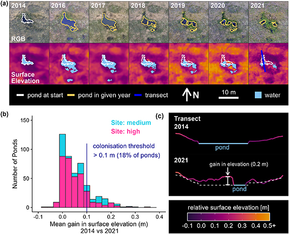 High variation in the surface extent of freshwater ponds creates ...