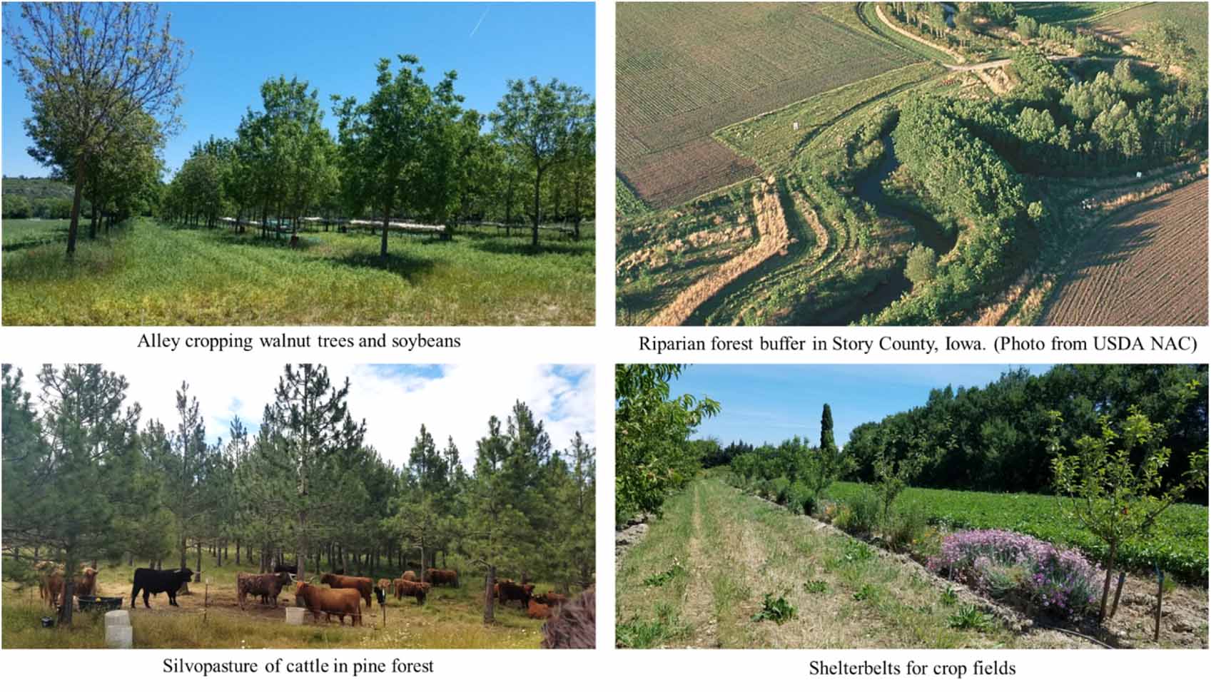 Mapping the social-ecological suitability of agroforestry in the US ...