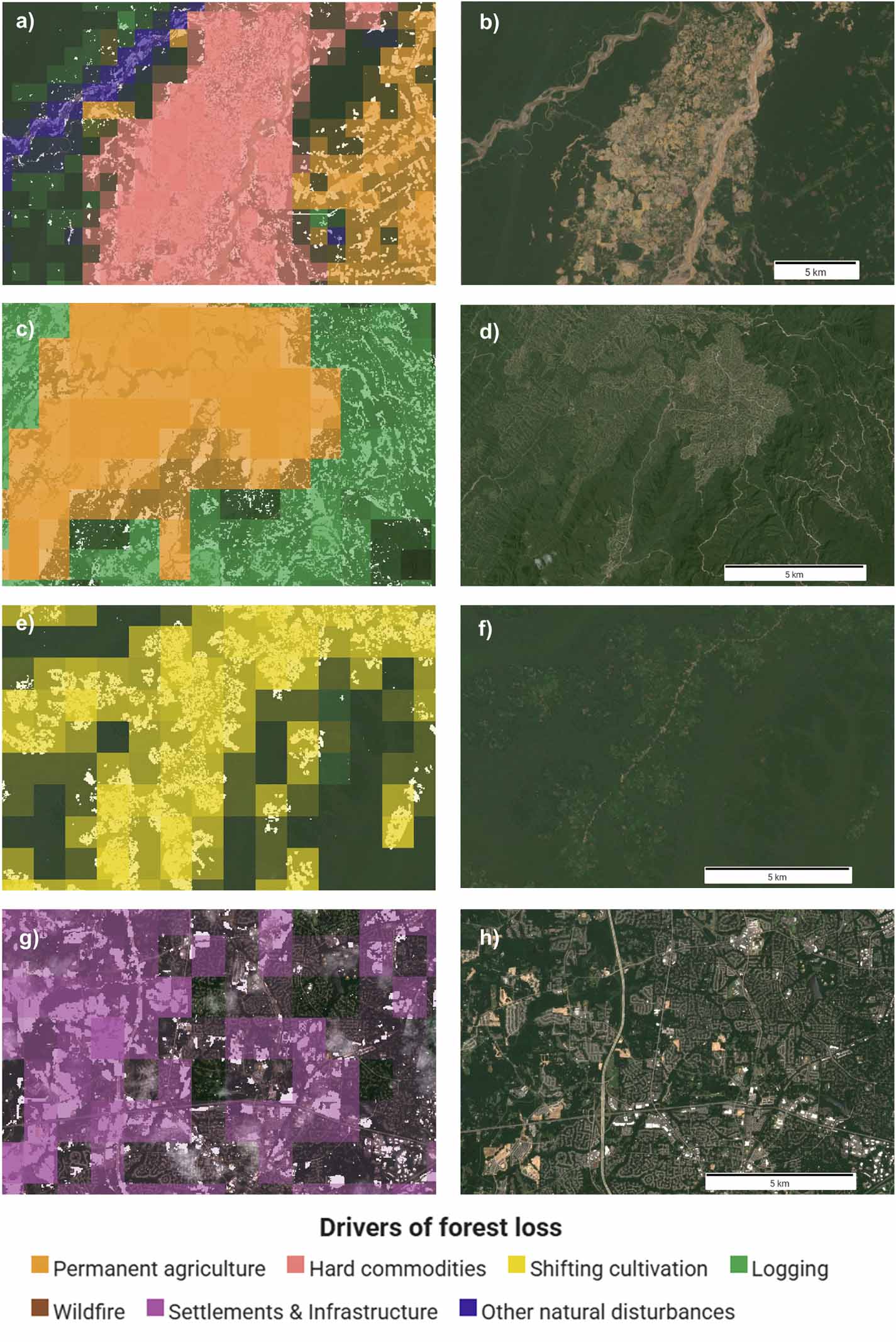 Global drivers of forest loss at 1 km resolution - IOPscience