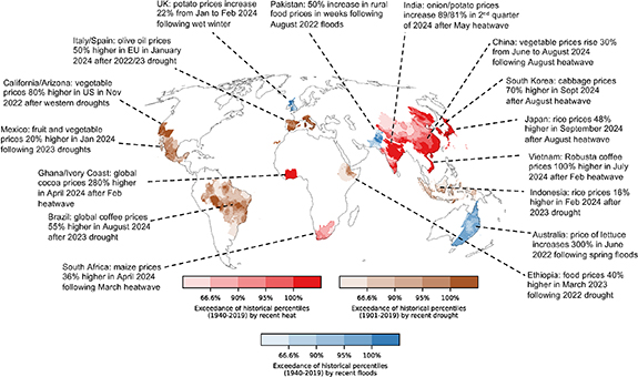 Climate extremes, food price spikes, and their wider societal risks ...