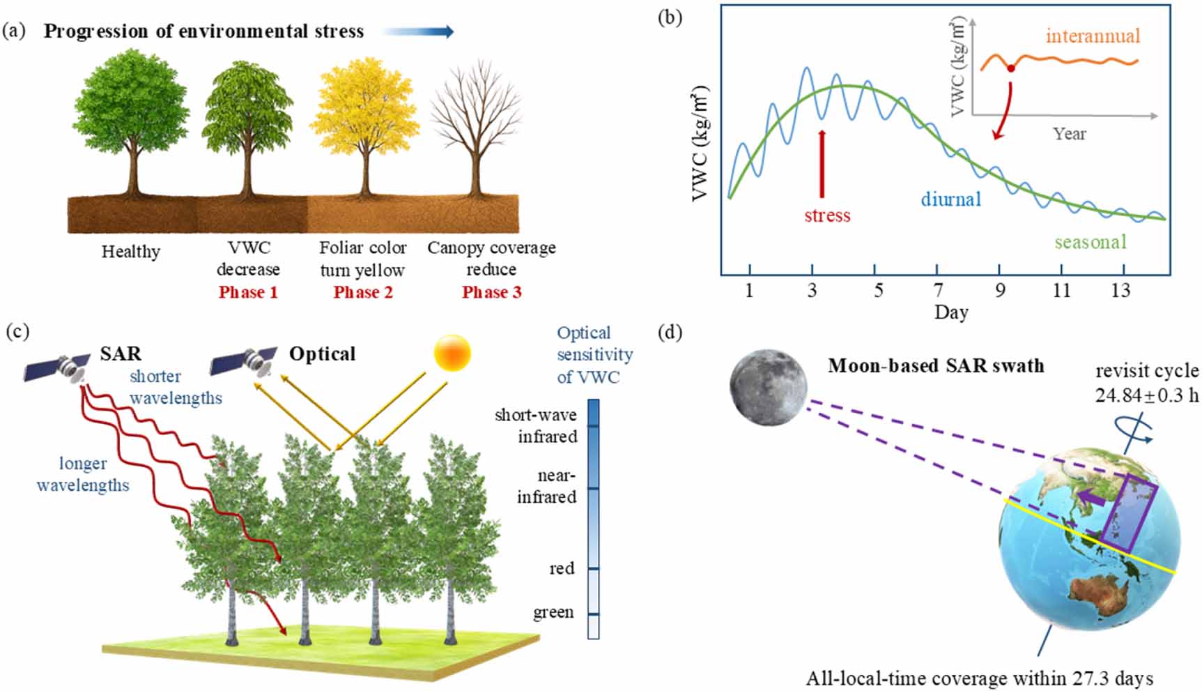 Advancing global vegetation water content observations: the potential ...