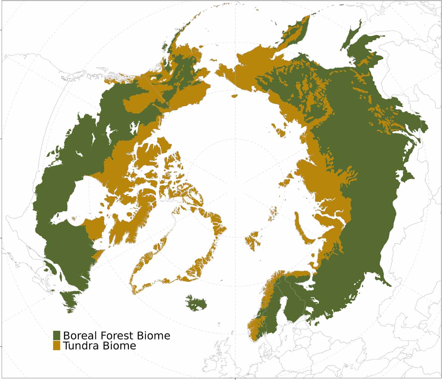 Borealization of tundra ecosystems with climate and land-use change ...