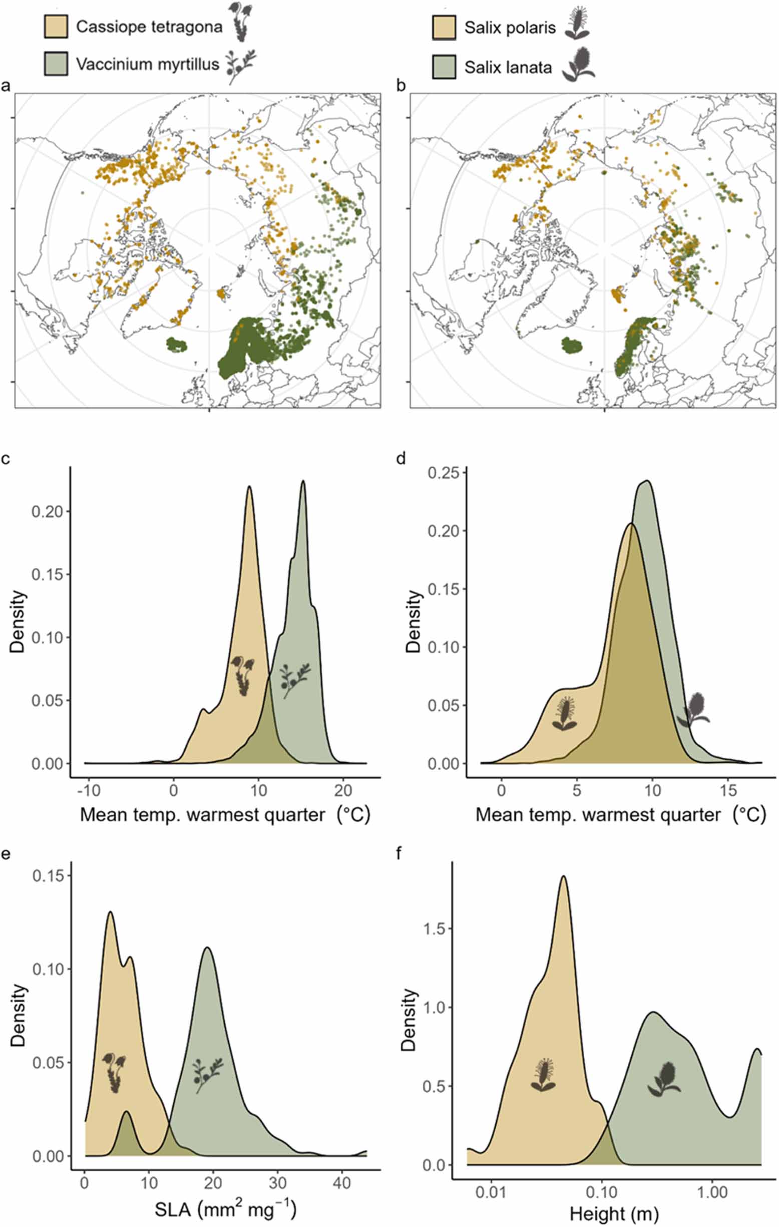 Borealization of tundra ecosystems with climate and land-use change ...