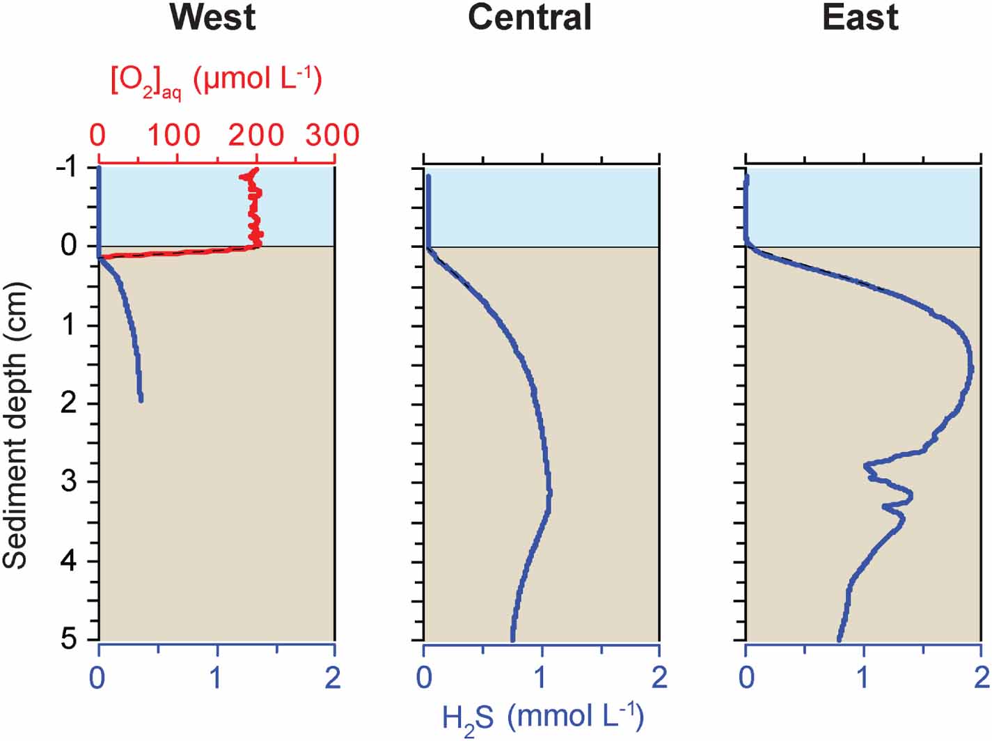 Strongly reducing sediments hinder restoration of a eutrophic coastal ...