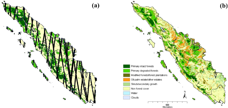 Mapping and monitoring deforestation and forest degradation in Sumatra ...