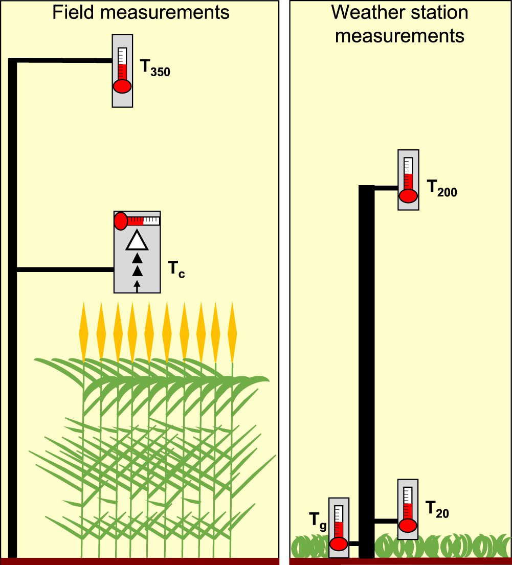 Impact of heat stress on crop yield—on the importance of considering ...