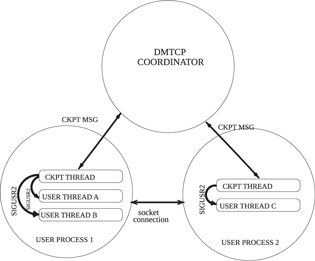 DMTCP: bringing interactive checkpoint–restart to Python - IOPscience