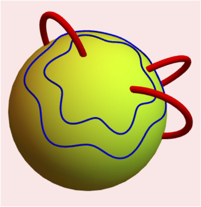 A generalized poloidal–toroidal decomposition and an absolute measure ...