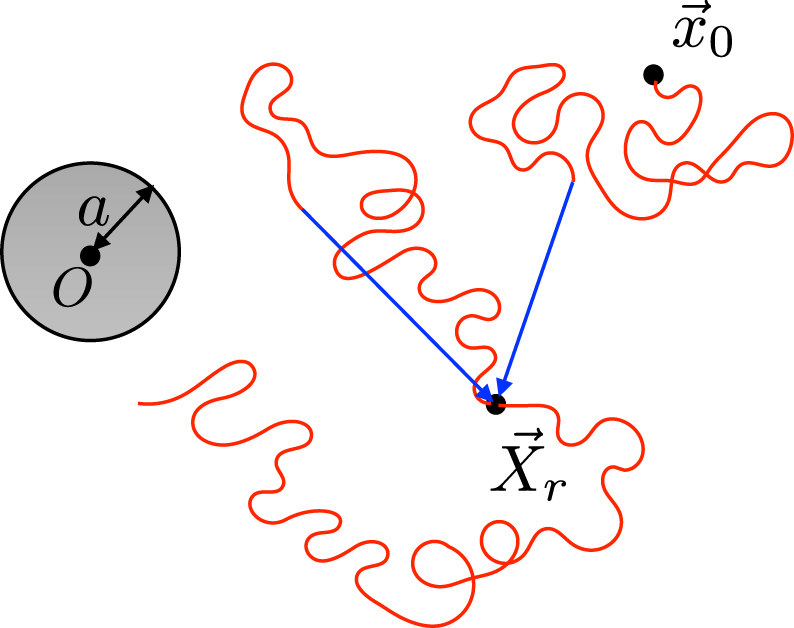 Stochastic resetting and applications - IOPscience