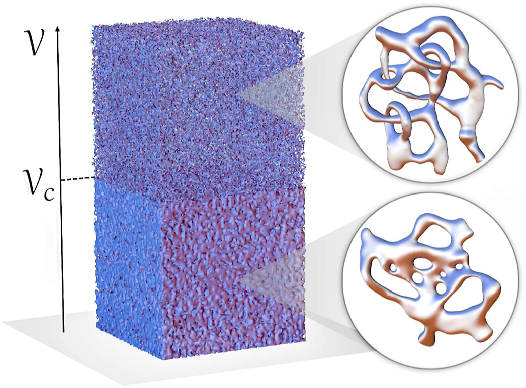 Topological theory of phase transitions - IOPscience