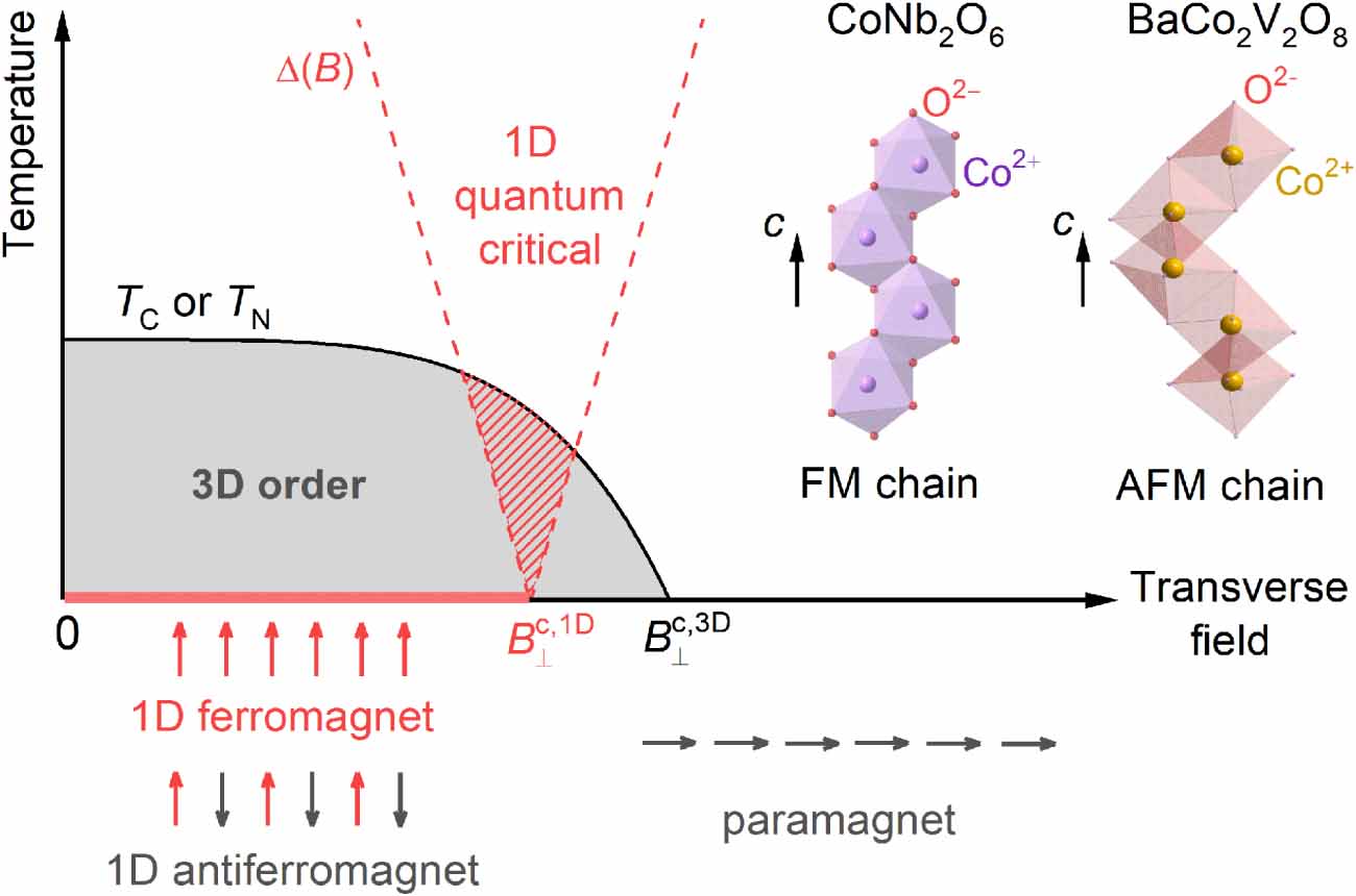 Quantum spin dynamics of quasi-one-dimensional Heisenberg-Ising magnets in a transverse field ...