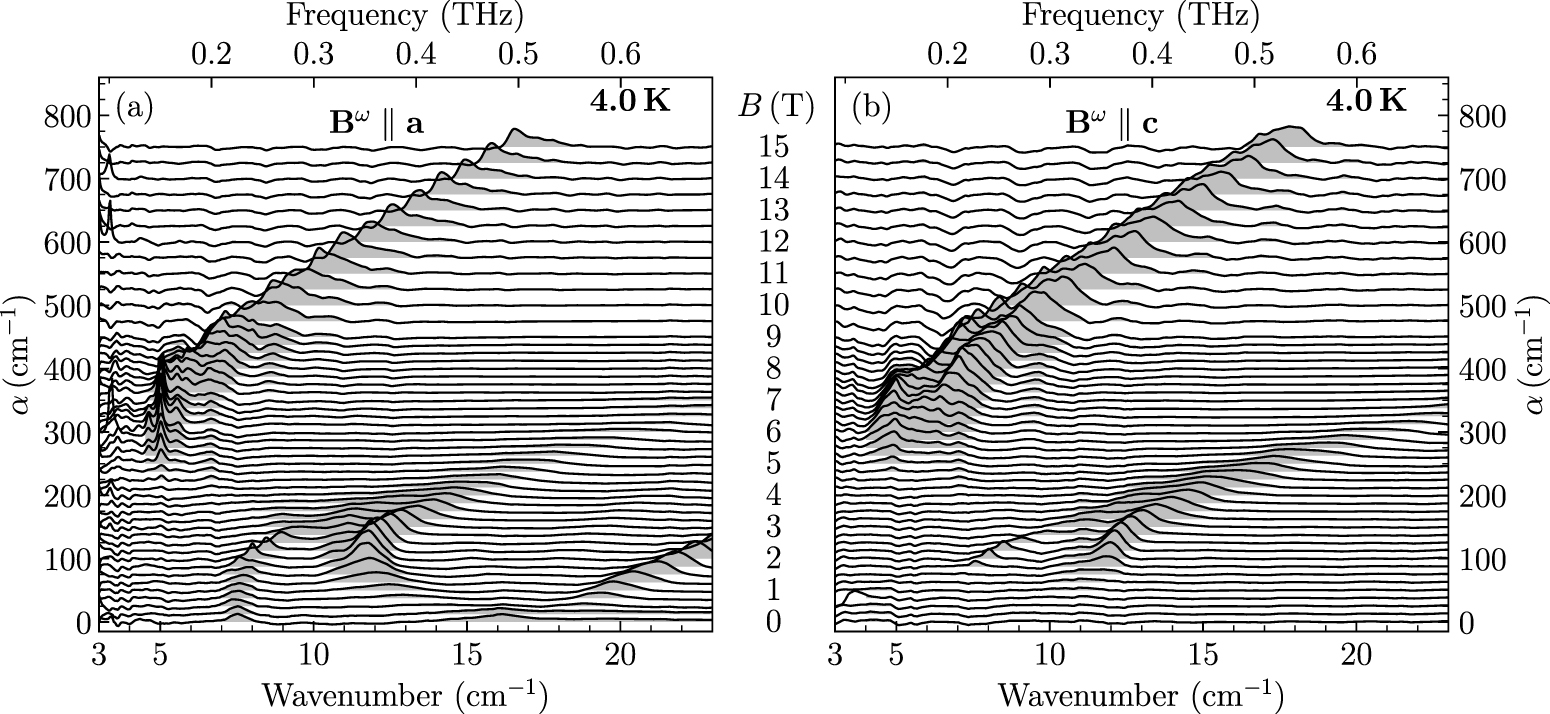 Quantum spin dynamics of quasi-one-dimensional Heisenberg-Ising magnets in a transverse field ...