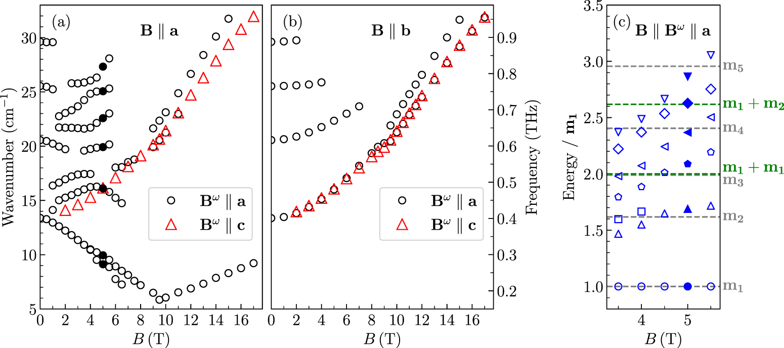 Quantum spin dynamics of quasi-one-dimensional Heisenberg-Ising magnets in a transverse field ...