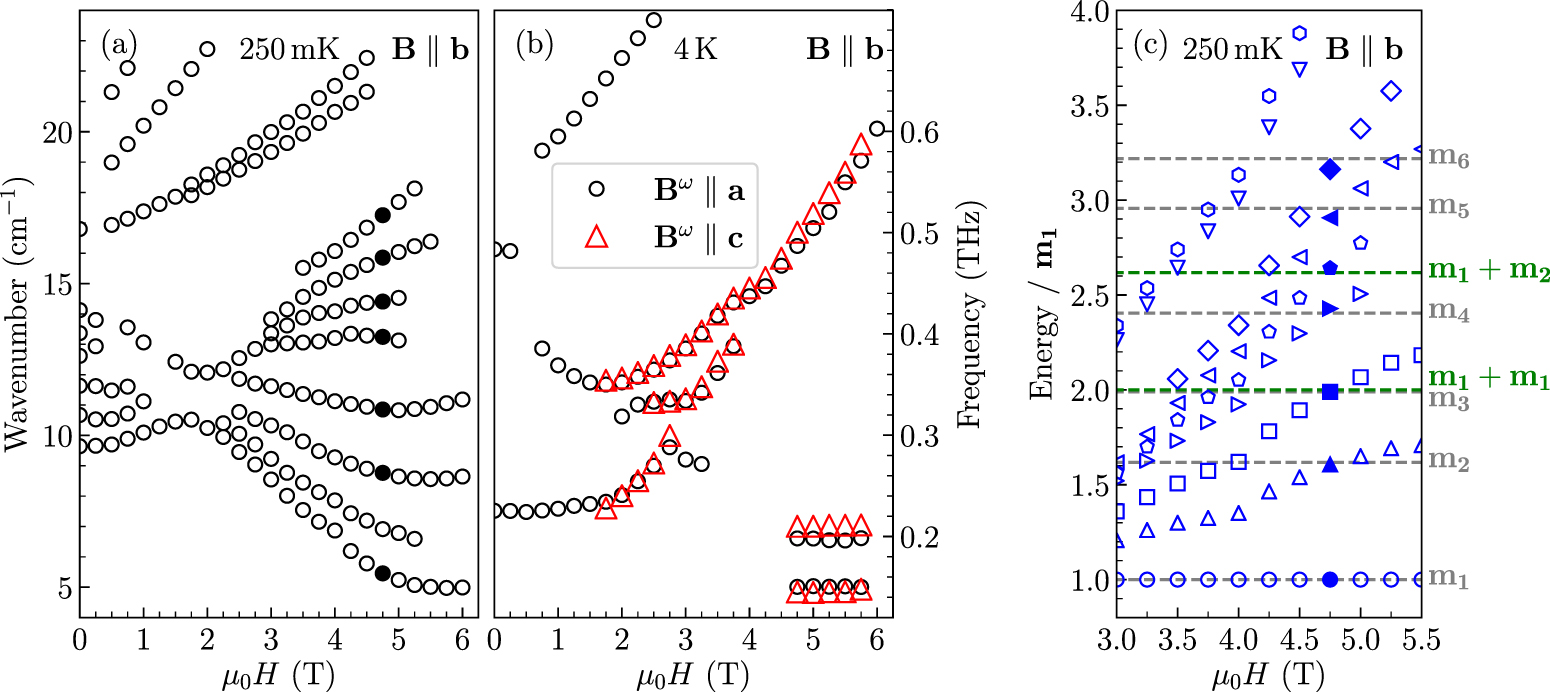 Quantum spin dynamics of quasi-one-dimensional Heisenberg-Ising magnets in a transverse field ...