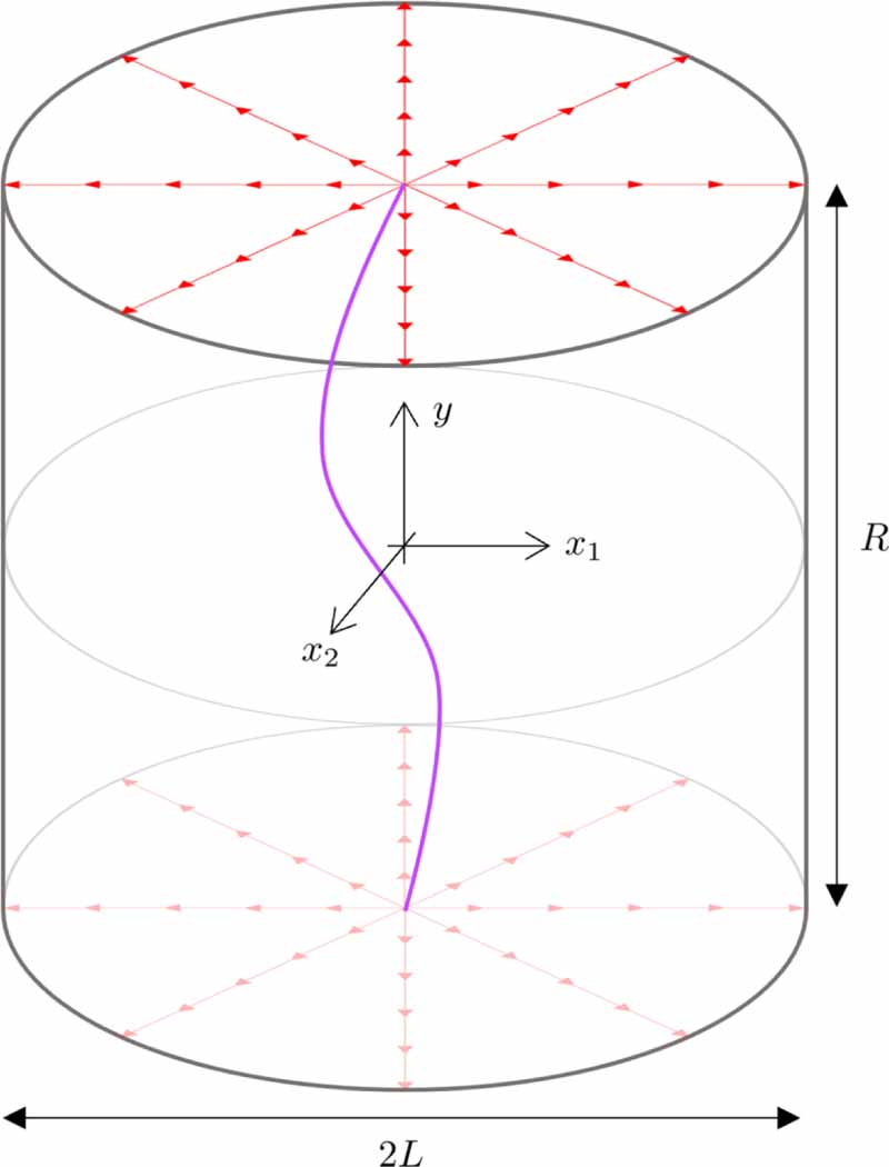 Mass of quantum topological excitations and order parameter finite size ...
