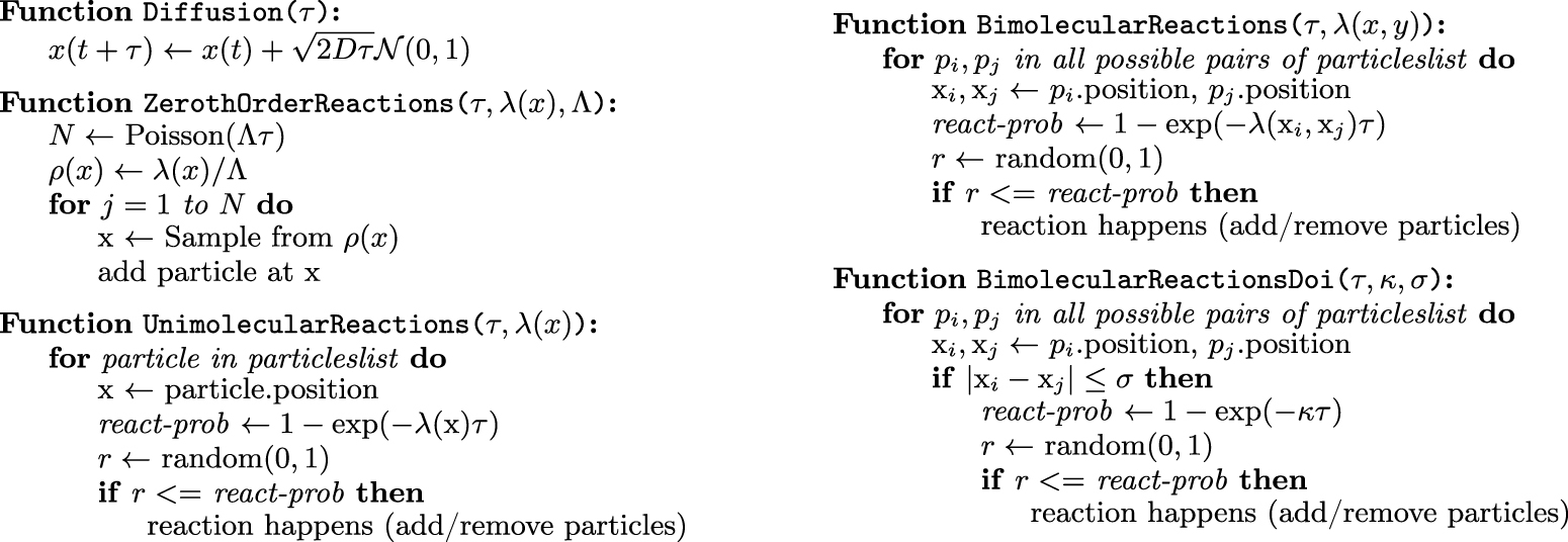 Open reaction-diffusion systems: bridging probabilistic theory and ...