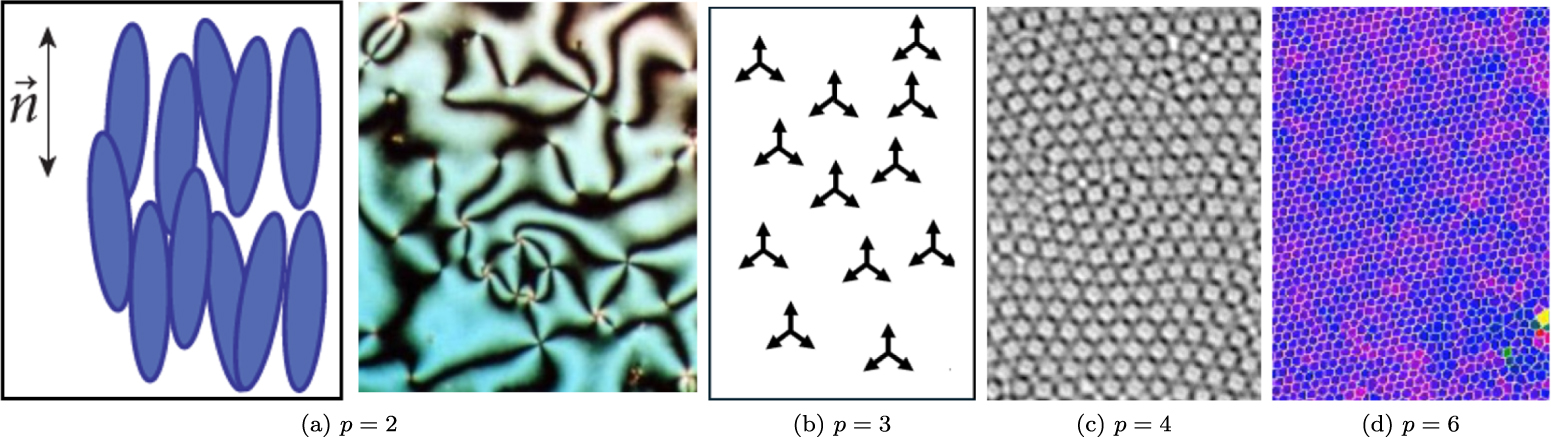 Defect ground states for liquid crystals on cones and hyperbolic cones ...