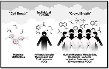 Crowd-based breath analysis: assessing behavior, activity, exposures ...