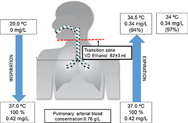The advantages of standardizing exhaled breath-alcohol concentration to ...
