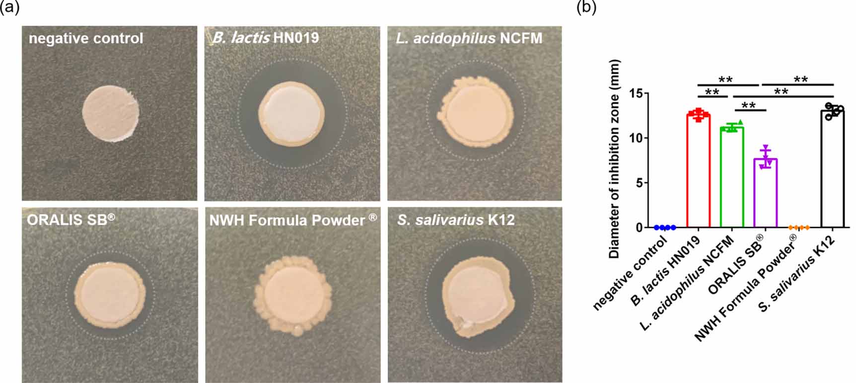 Effects of Bifidobacterium lactis HN019 and Lactobacillus acidophilus ...